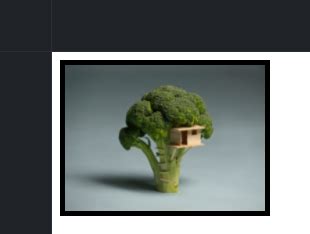 Solved Css Border Around Img Has Gaps One Screen And Not On Another Solveforum