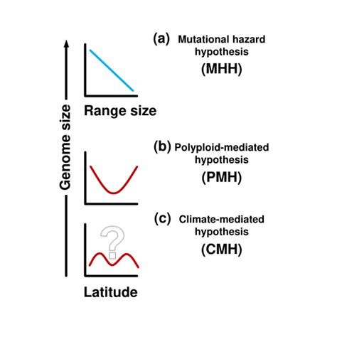 Expected Associations Between Genome Size And A Range Size And B C