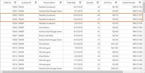 filtering in winforms datagrid control syncfusion