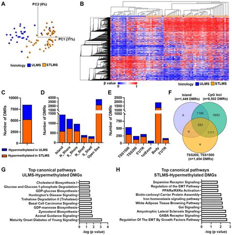 Dna Methylation Landscape Of Lms A Principal Component Analysis Of Download Scientific