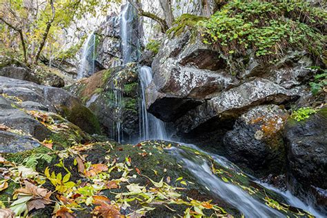 В полите на Витоша от Бояна до Боянския водопад и Боянското езеро Backpack Nerd