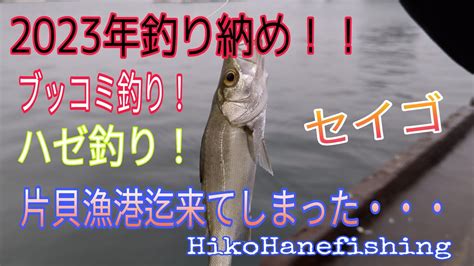 2023年釣り納めに片貝漁港でブッコミ釣り YouTube