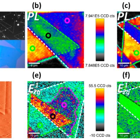 Interlayer Difference Of One Twisted Bilayer Structure Tbls Sample Download Scientific