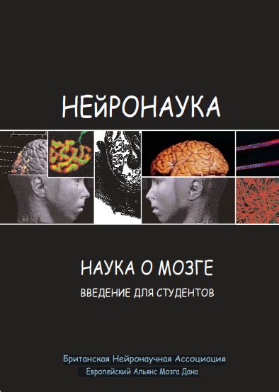 Нейронаука. Наука о мозге. Введение для студентов - Коллектив авторов