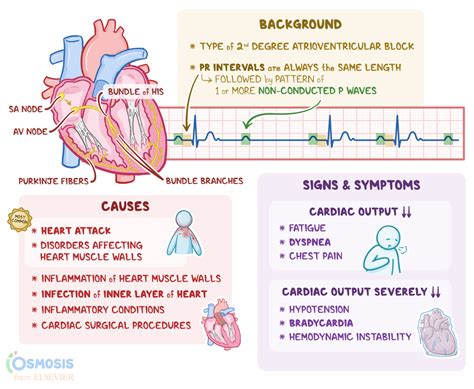 Heart Block Symptoms Types And Treatments