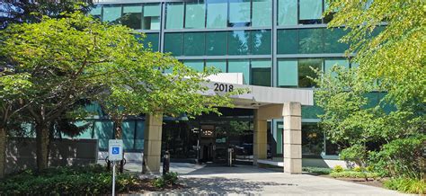 Dilato Dilato Infotech Limited