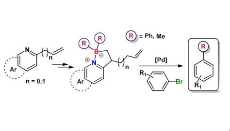 Gagan Kukreja En Linkedin Synthesis Of Five Membered Organoborate Heterocycles Via A Metal Free…