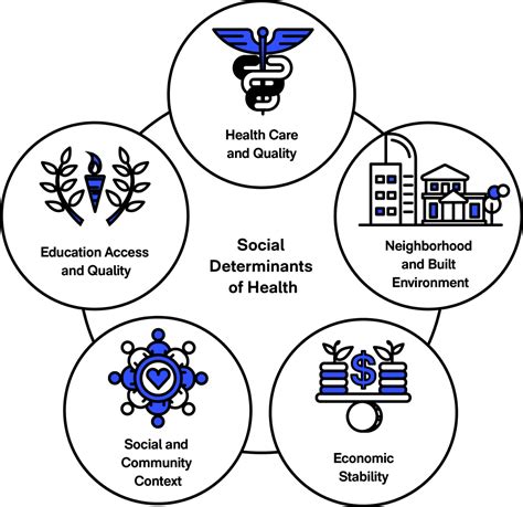 Sdoh Research Platform Custom Map Solution Digital Scientists