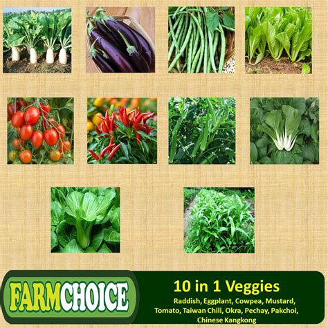 10 In 1 Pack Assorted Vegetable Seeds 1300 Seeds Shopee Philippines