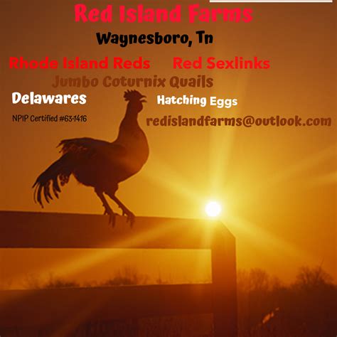 Red Gate Farms Red Gate Farms Updated Their Cover Photo