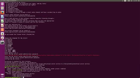 sql server 2017 on linux installing sql server on ubuntu improving