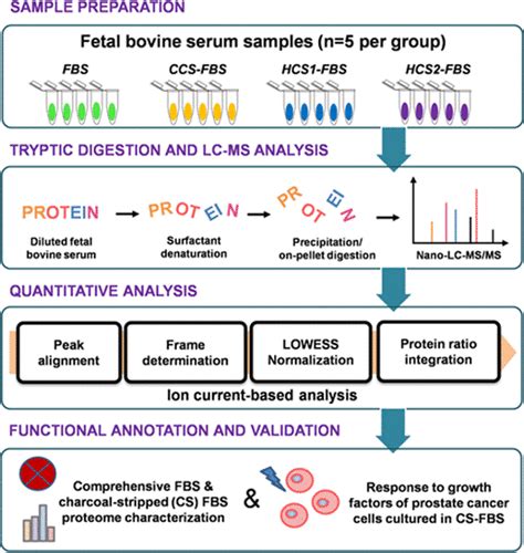Proteomic Analysis Of Charcoal Stripped Fetal Bovine Serum 57 Off