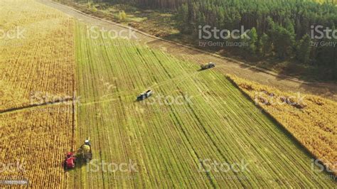 농촌 풍경의 공중 보기 옥수수 밭에서 일하는 수확기와 트랙터를 결합합니다 마른 옥수수 식물을 수집합니다 늦은 여름에 옥수수의 수확 옥수수밭에서 식물을 수집하는 농업 기계