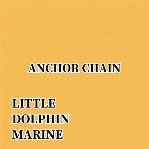 316 Stainless Steel Boats Anchor Chain Standard Din766 Anchor Chain Anchor Chain For Ship Large