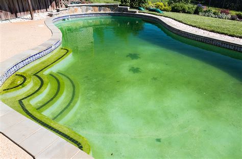 How To Get Rid Of Green Algae In The Pool Quick Solutions