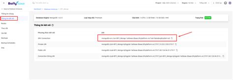 Kết Nối Mongodb Qua Srv Record Bizfly Cloud Documentation