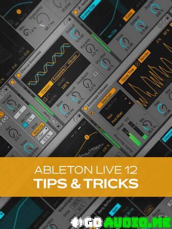 Groove3 Ableton Live 12 Tips Tricks TUTORiAL Go AudiO Official
