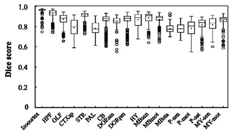 Dice Scores Of 18 Anatomical Segmentation Regions Based On Deeplabv3
