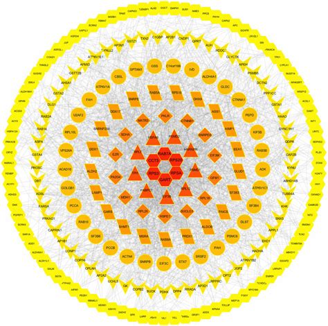 Protein Protein Interaction Network Analysis Of Deps Protein Protein