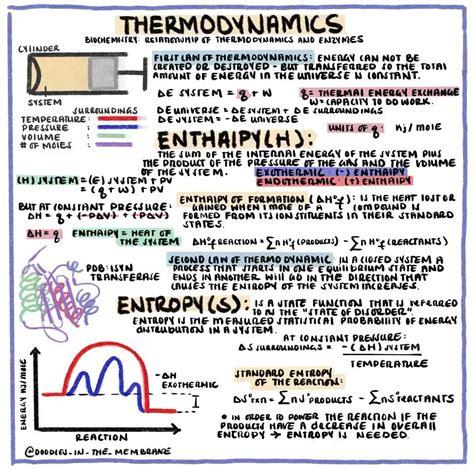 Thermodynamics Enthalpy And Entropy Artofit
