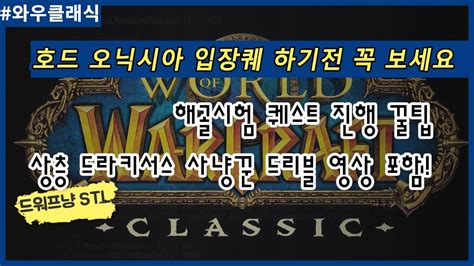 와우클래식 호드 오닉시아 입장퀘스트 해골시험 부터 끝까지 후반부 요약 영상 상층 막넴 드라키서스 사냥꾼 드리블 영상 포함 Youtube