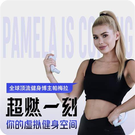 Pico 体感追踪器 Pico