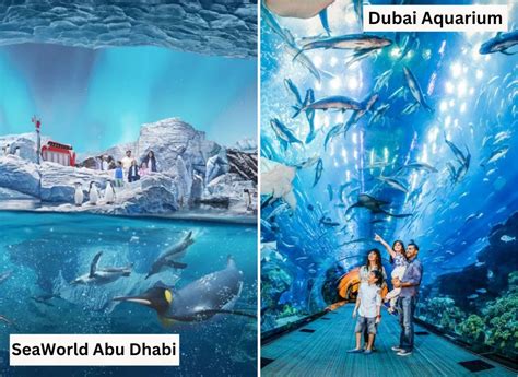 Seaworld Abu Dhabi Vs Dubai Aquarium Which Is Better