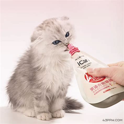 阿飞和巴弟品牌首页