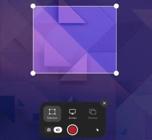 8 Best Screen Recorders For Linux