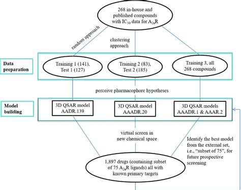 Workflow Illustration For Pharmacophore Based 3D QSAR Modeling And