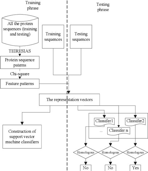 Figure 1 From A Pattern Based Svm For Protein Remote Homology Detection Semantic Scholar