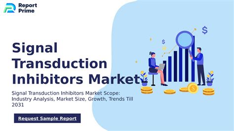 Global Signal Transduction Inhibitors Market Cagr 155 By Reportprime