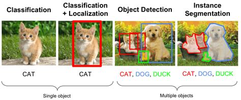 Object Detection คืออะไร บทความสอน Ai ตรวจจับวัตถุ Tensorflowjs หลักการทำ Object Detection การ