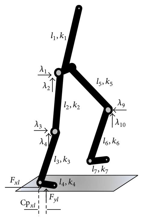 Forming Constraints On Single Support A And Double Support B Download Scientific Diagram