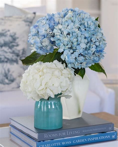 Peyton Gable Peytongable • Instagram Photos And Videos Spring