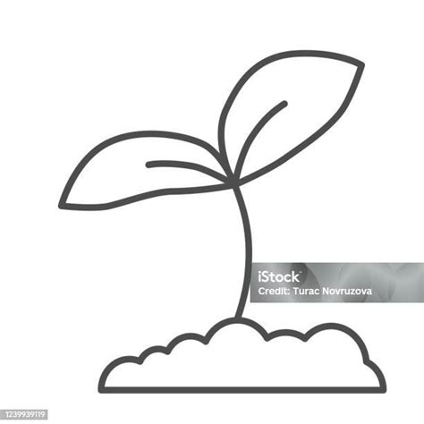 지상 얇은 라인 아이콘 생태 개념 흰색 배경에 토양 기호에 씨앗의 발아 모바일 및 웹에 대 한 개요 스타일에 모종 성장 아이콘에서 발아 식물 벡터 그래픽 0명에 대한 스톡