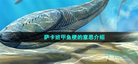 抖音萨卡班甲鱼是什么梗 萨卡班甲鱼梗的意思介绍 牛特市场