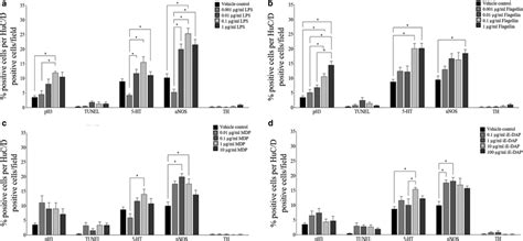 Role Of Lps Flagellin Mdp And Ie‐dap On Encdc Programming Lps Had A Download Scientific