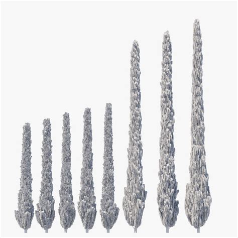 Cupressus 3d Model Turbosquid 1437898