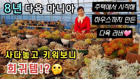 8년 다육 마니아의 가격대가 있는 입 벌어지는 다육ㅣ군산시 성산면 상흥길 15 5010 9653 5673 ㅣ다육이 키우기 ㅣ