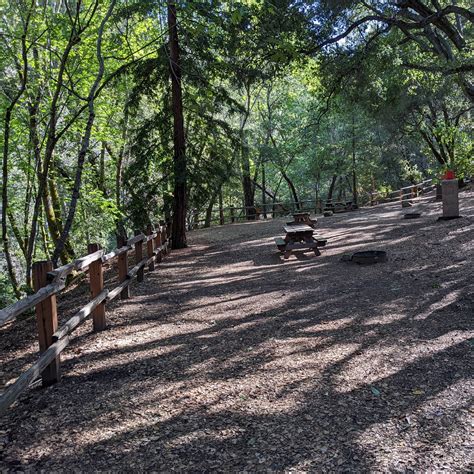 Uvas Canyon County Park Camping New Almaden California