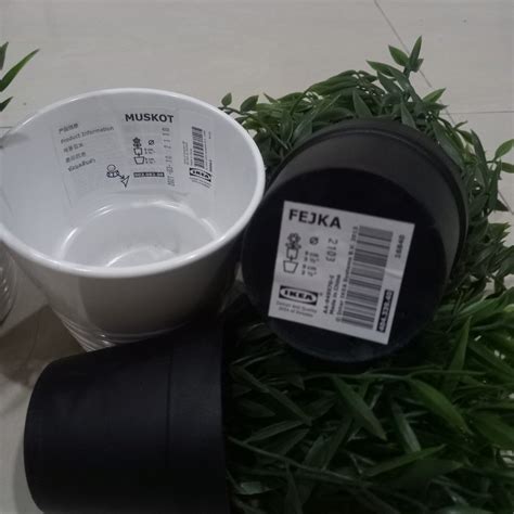 Decoration Ikea Pot And Plan Muscot Fejka Perkebunan Di Carousell