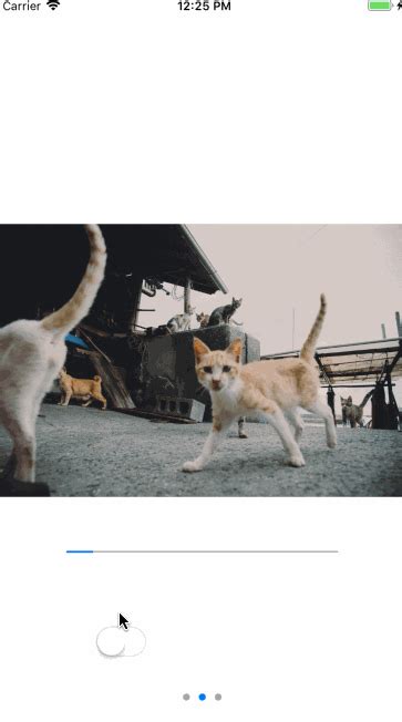 Hw二研究以下 Ui 元件 Switch，activity Indicator View By Jie Liang Huang