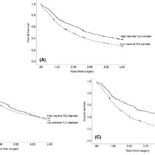 Examples Of Low Maximal TLS Diameter A High Maximal TLS Diameter Download Scientific Diagram
