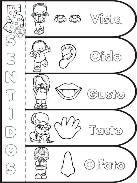 Los 5 Sentidos Los Sentidos Para Niños Actividades 5 Sentidos Los 5