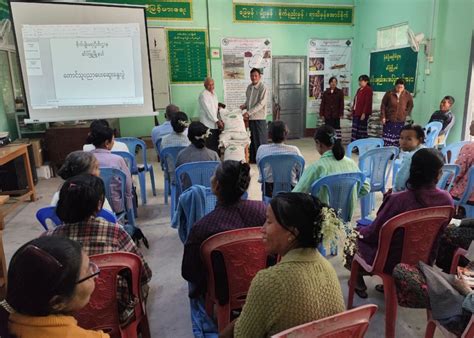 ဆိပ်ဖြူမြို့နယ်တွင် ဆီထွက်သီးနှံစိုက်ပျိုးထုတ်လုပ်မှုမြင့်မားတိုးတက်ရေး