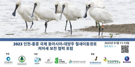 제3회 인천 홍콩 국제 동아시아 대양주 철새이동경로 저어새 보전 협력 포럼 인천녹색연합
