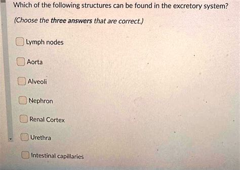 Which Of The Following Structures Can Be Found In The Excretory System