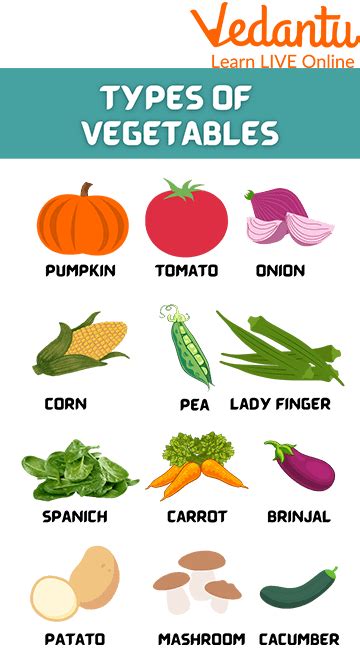 Types Of Vegetables