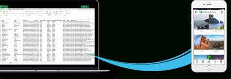 Turning Excel Spreadsheet Into Software Application With Make A Mobile